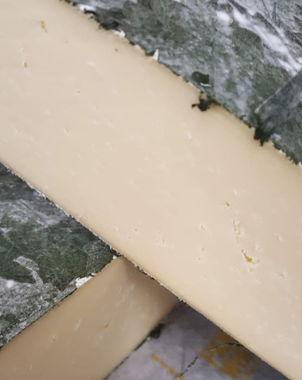 Cornish Yarg | Cornish Nettle Coated Cheese – Paxton & Whitfield